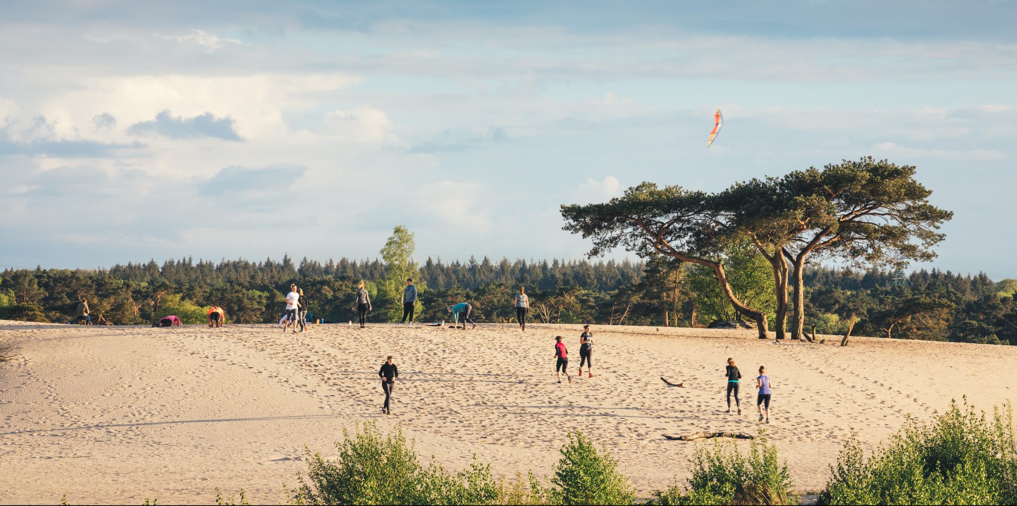 Kom in actie | Natuur & Milieu