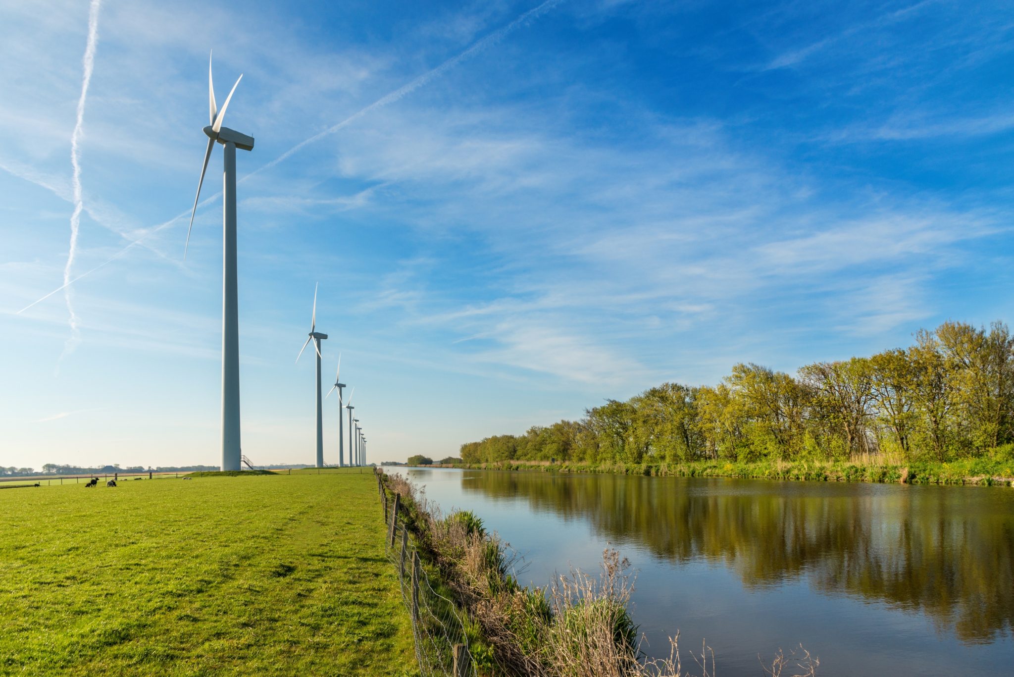 Voor een duurzame toekomst | Natuur & Milieu