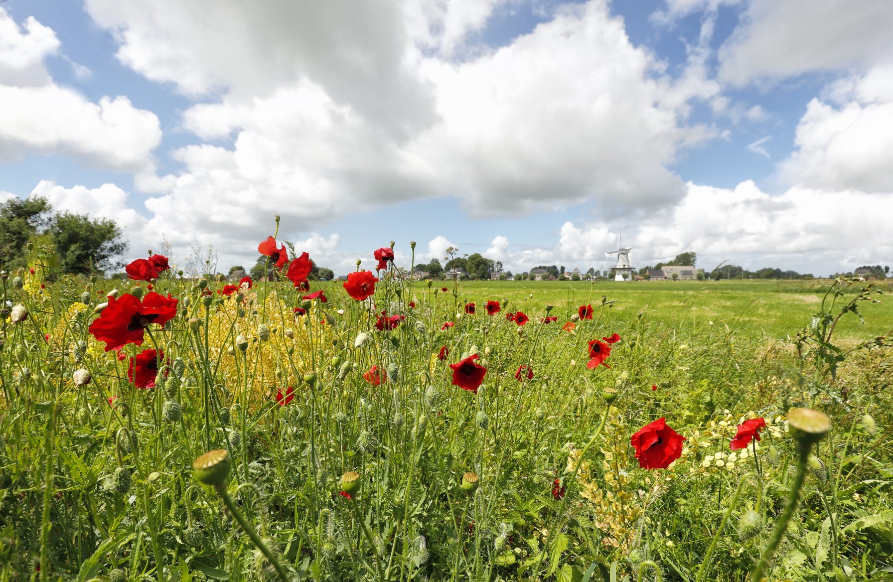 Steun ons | Natuur & Milieu