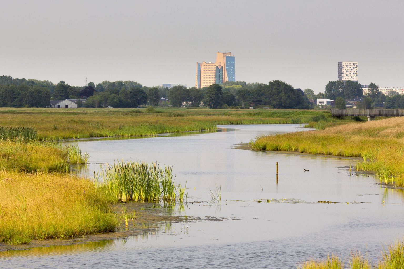 'NL2120 Het Groene Verdienvermogen’ van start | Natuur & Milieu