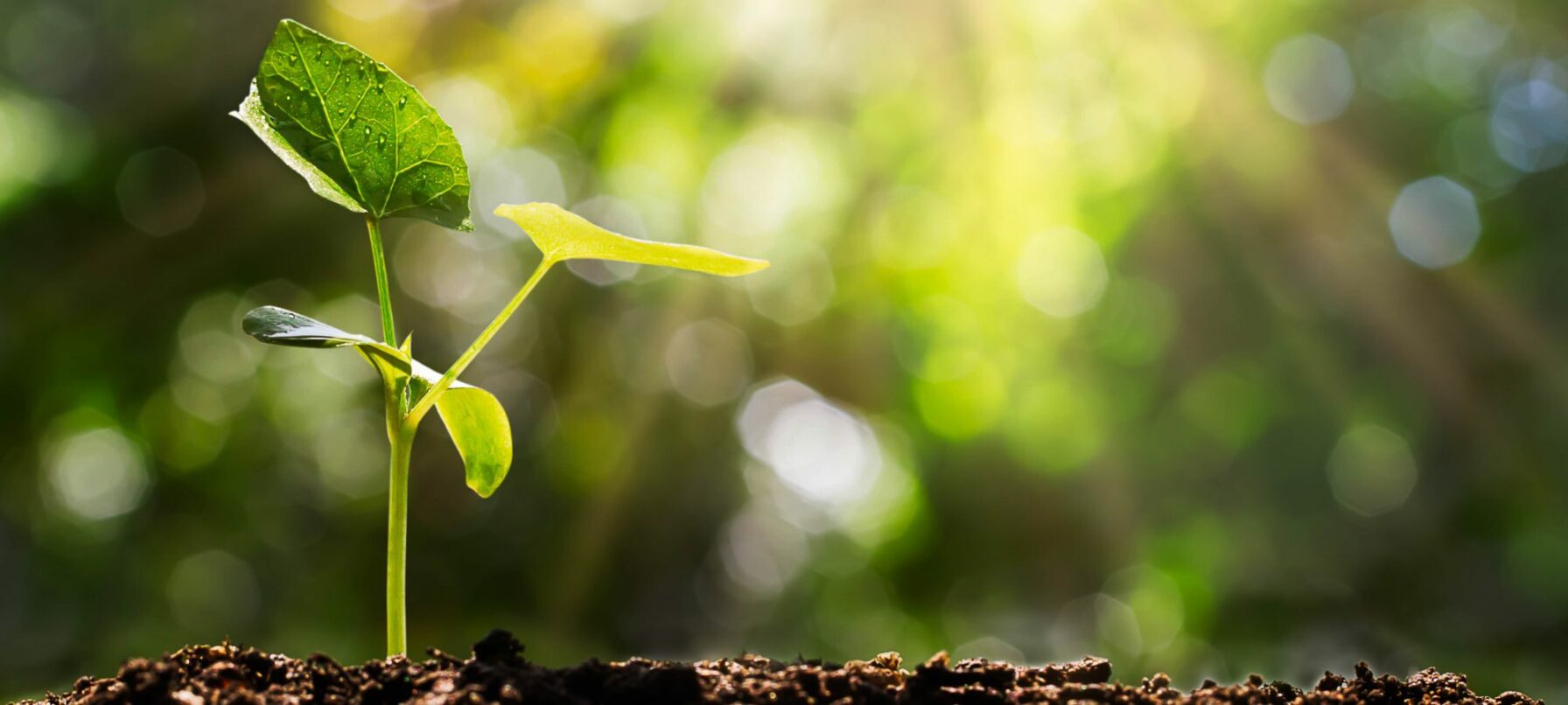 Natuur & Milieu scherpt klimaatdoel aan: in 2037 klimaatneutraal ...