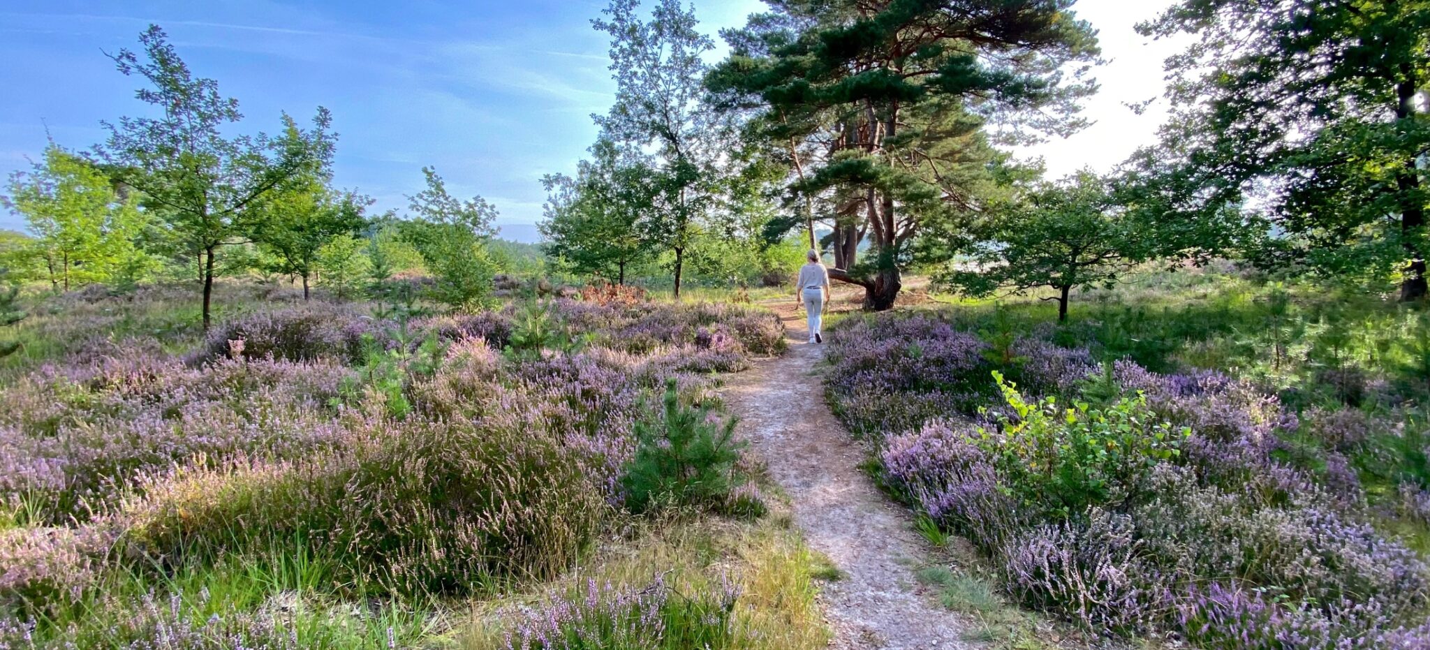 Stikstof | Natuur & Milieu