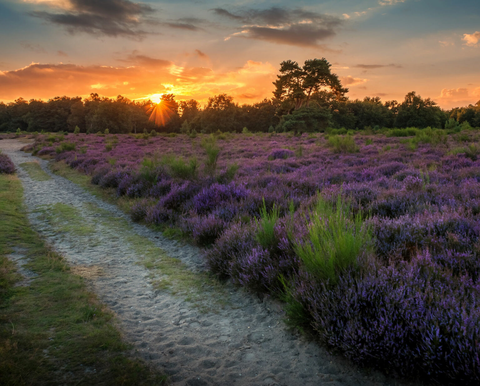 Natuurvriendelijke landbouw | Natuur & Milieu