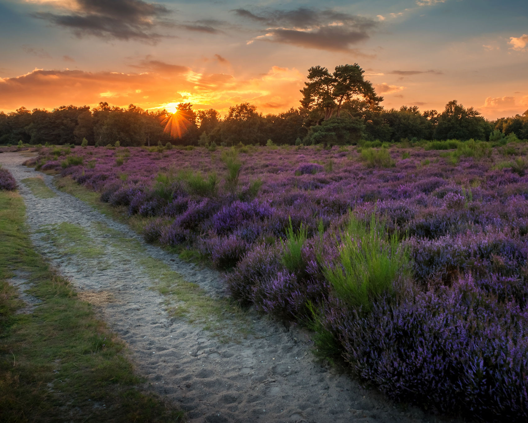 Natuurvriendelijke landbouw | Natuur & Milieu