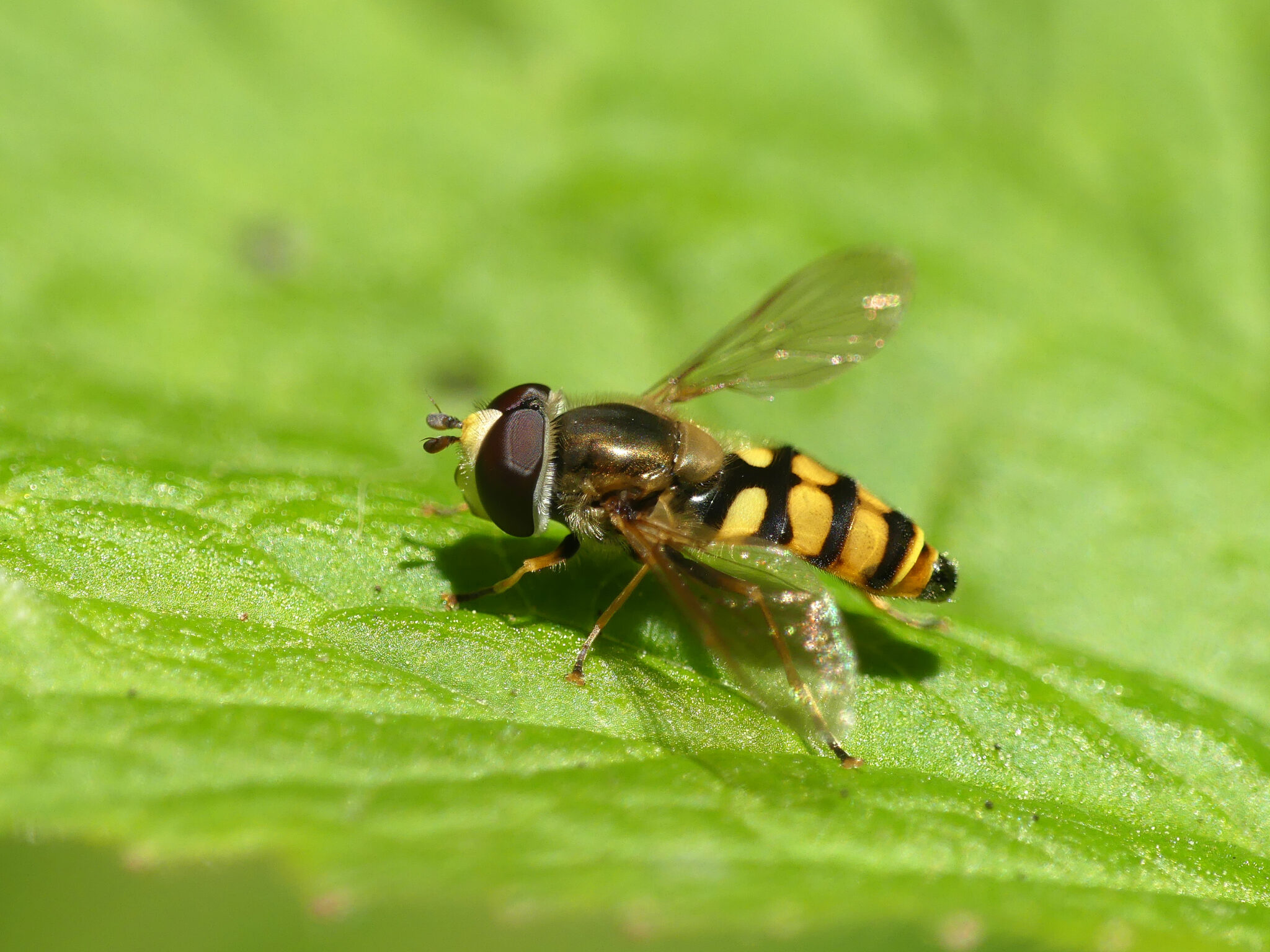Over Natuur & Milieu