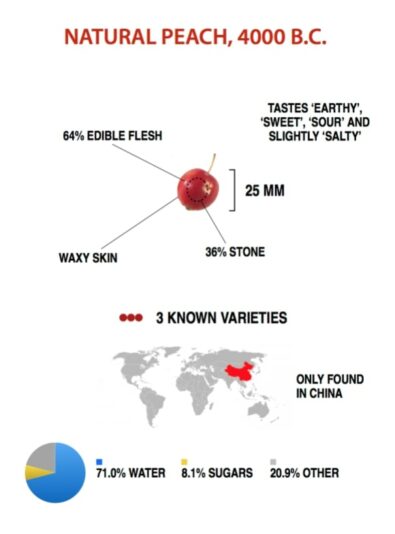 Zo zagen groente- en fruitsoorten eruit voor ze bewerkt werden | Natuur ...