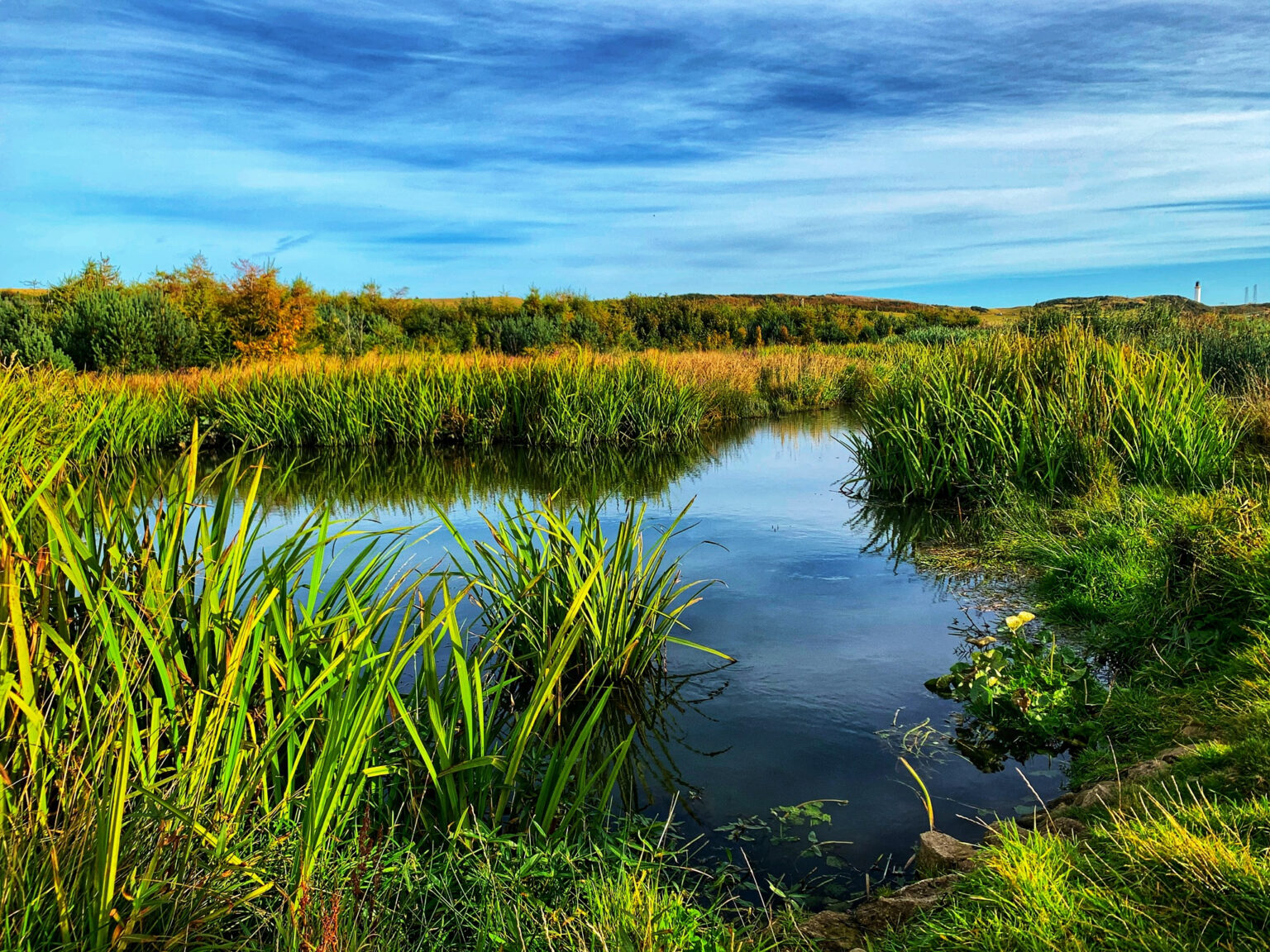 Waterkwaliteit in sloten, meren en grondwater | Natuur & Milieu