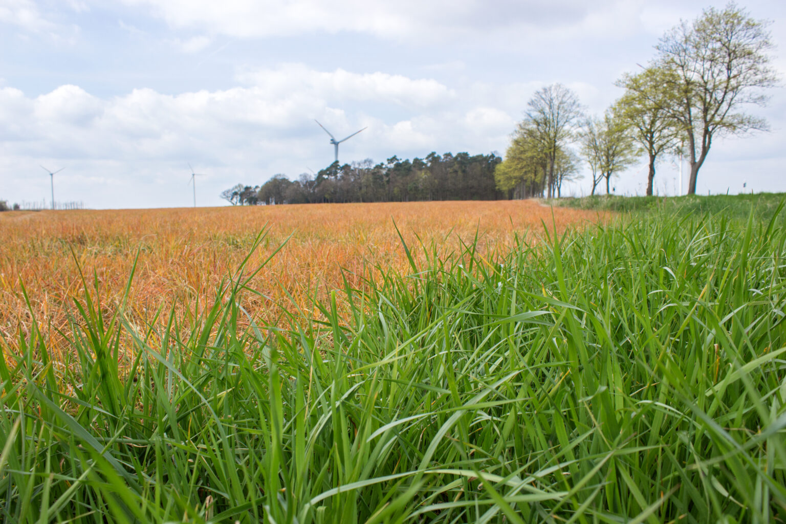 Voor een duurzame toekomst | Natuur & Milieu