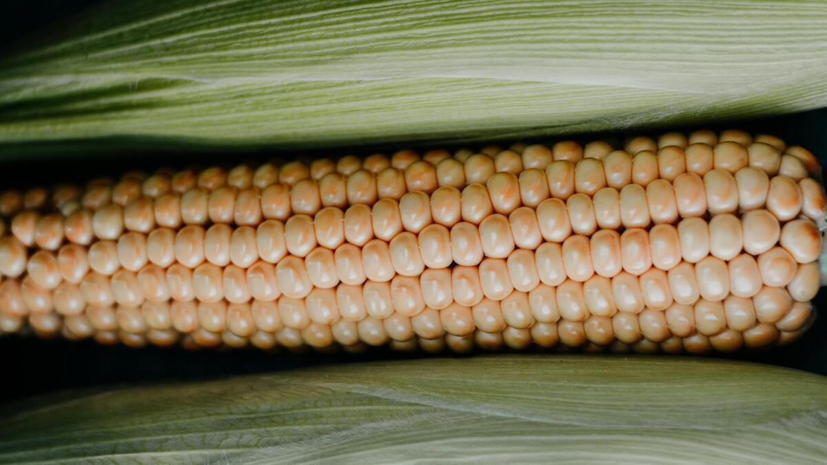 Groenten invriezen doe je zo! | Natuur & Milieu