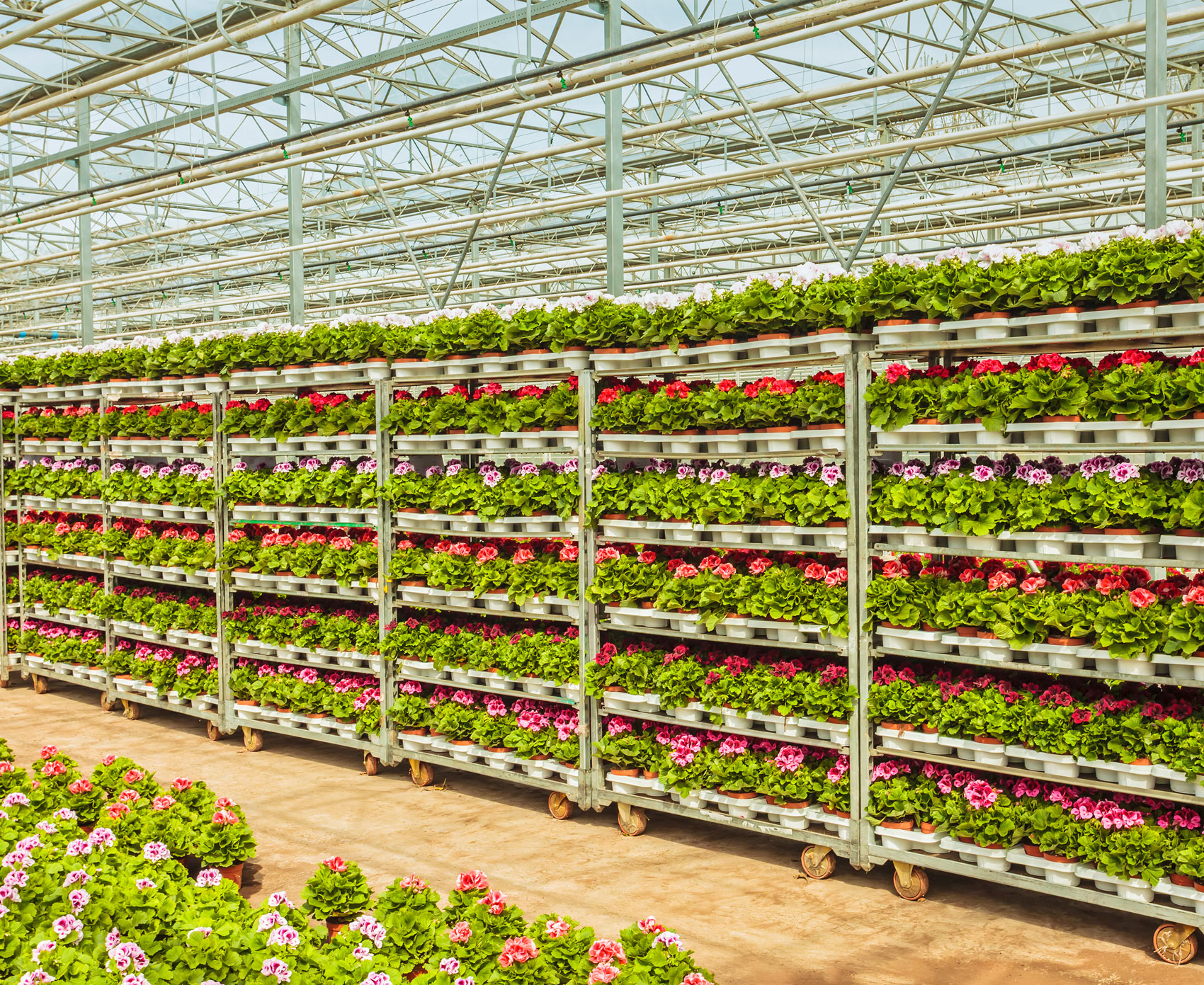 Kwekers houden zich beter aan afspraken voor minder ...