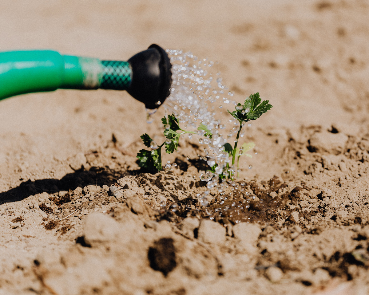 Waterschaarste en droogte in Nederland | Natuur & Milieu