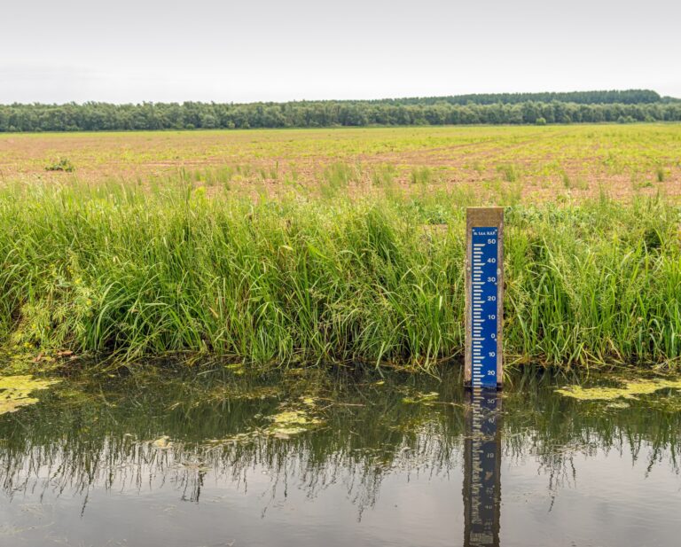 Hoe zorgen we in Nederland voor schoon water? | Natuur & Milieu